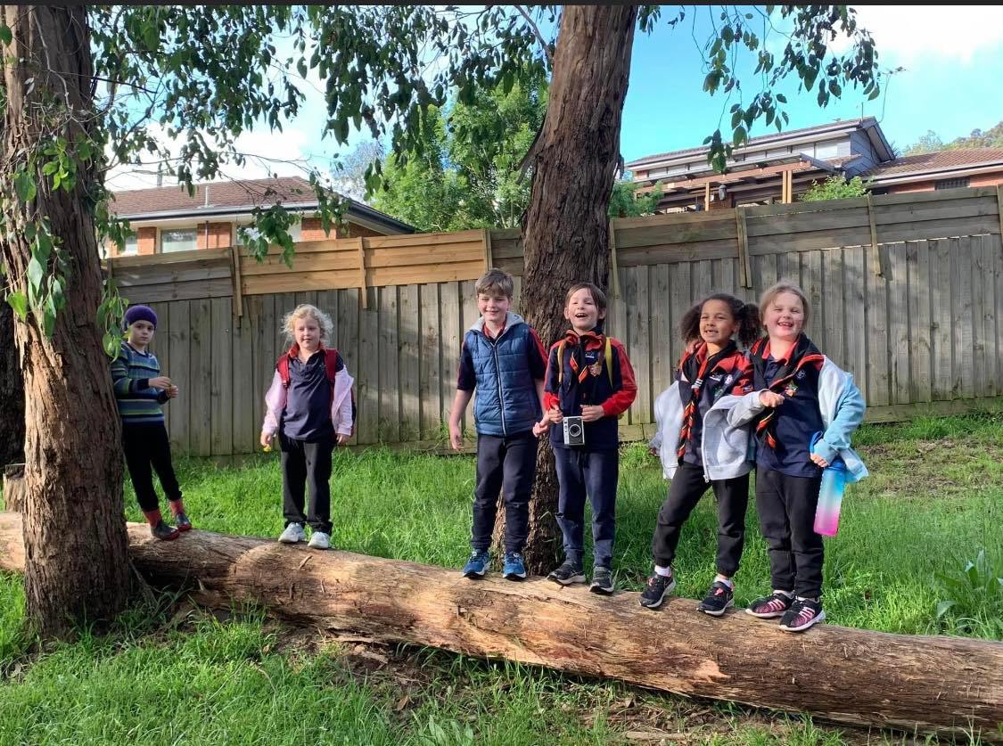 Garramool Joey Scouts | 1st Croydon Hills Scout Group